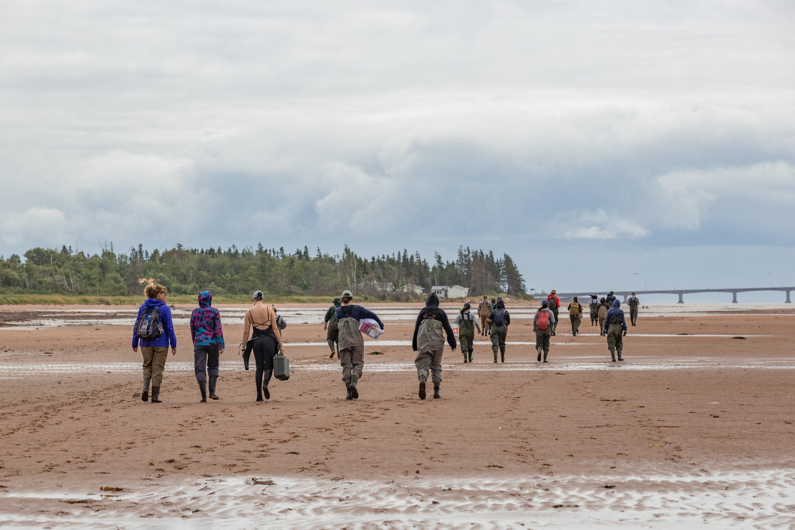 Community Outreach Education Community Eelgrass Restoration Initiative